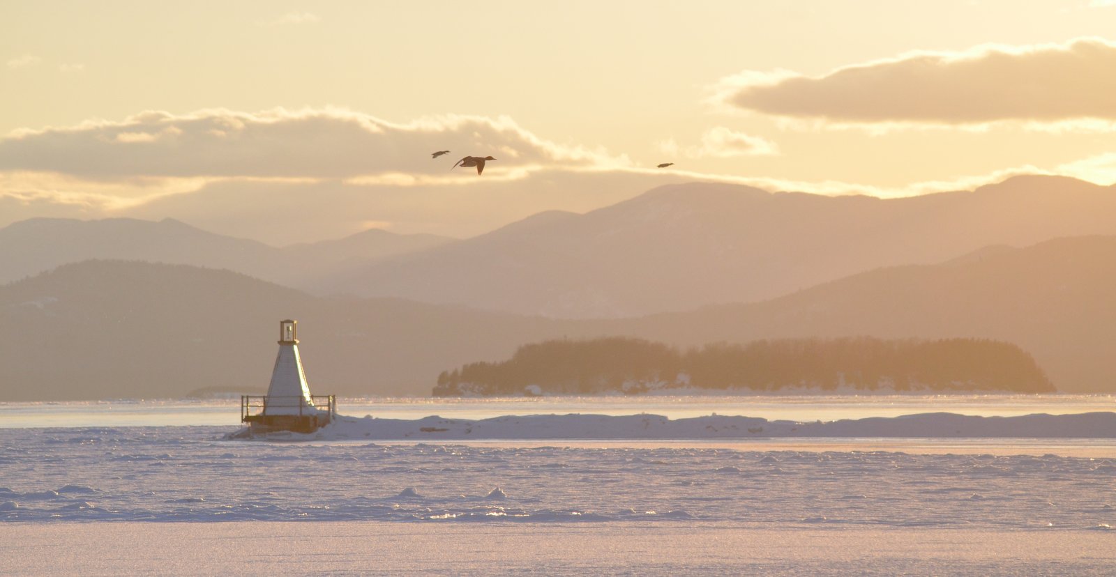 The Crow's Path Blog | Crow's Path