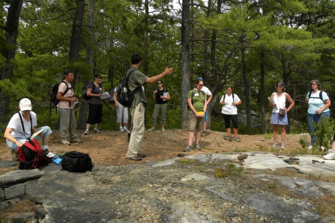 Drip Tips | Crow's Path